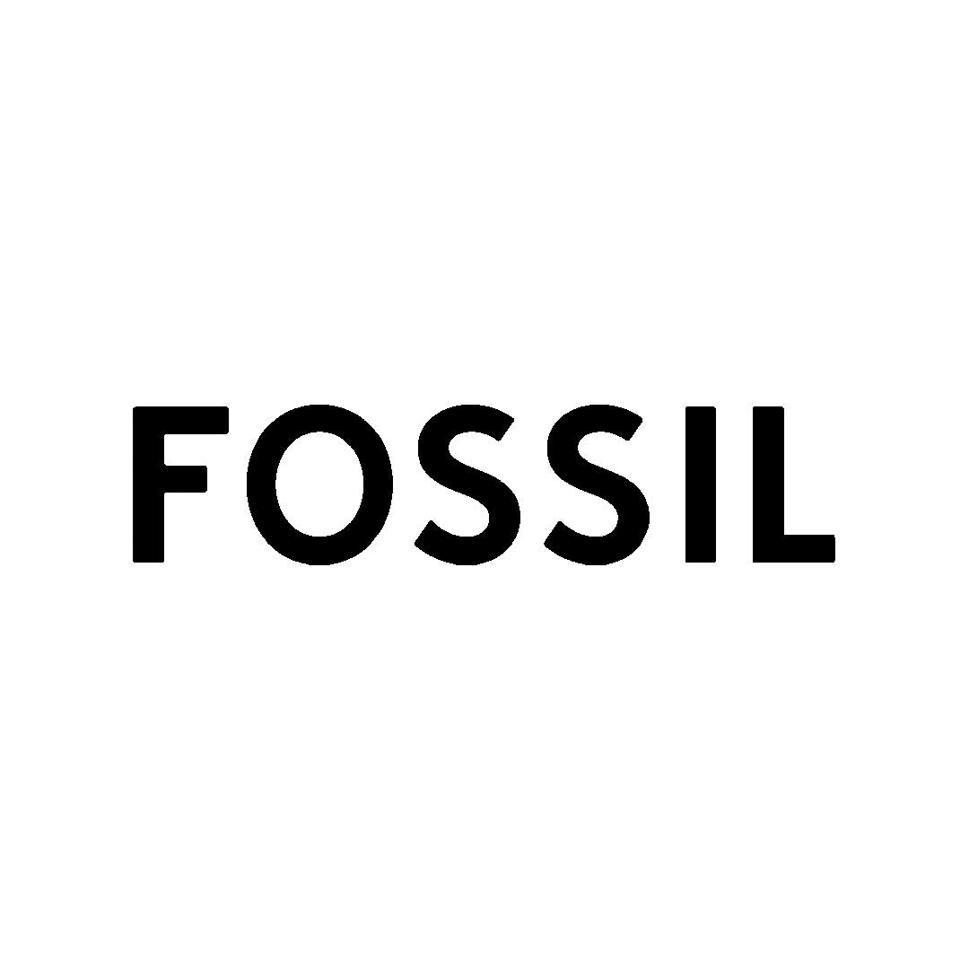 Fossil Frames – Happy Vision